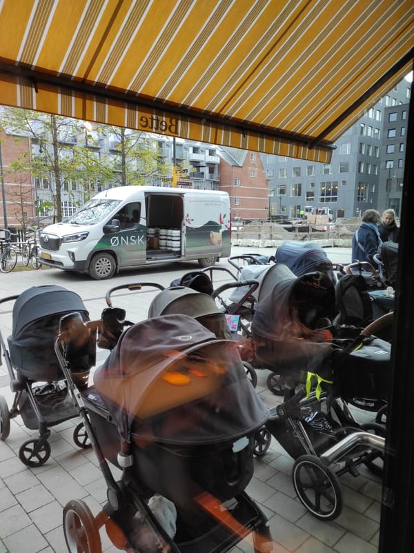 Denmark: the good, the bad, and the ugly. Part 1/5: Society and politics